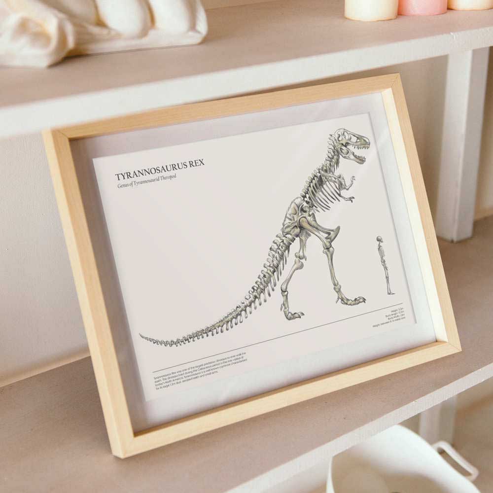 Human & Dinosaur Skeleton Size Comparison Posters