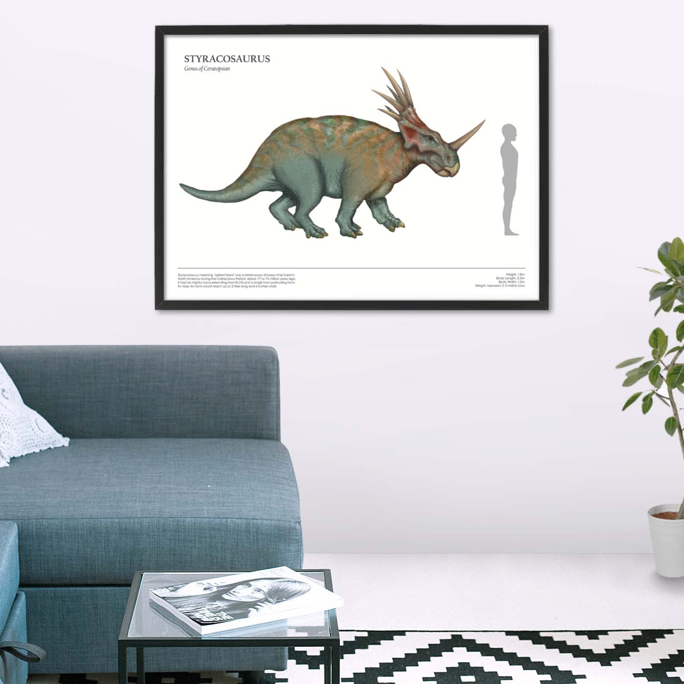 Human & Dinosaur Size Comparison Posters (Styracosaurus, A3)