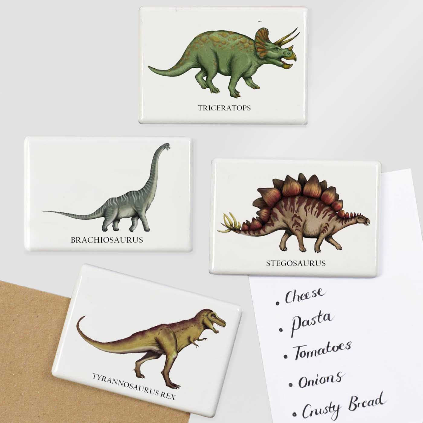 Dinosaur Species Set of 4 Fridge Magnets